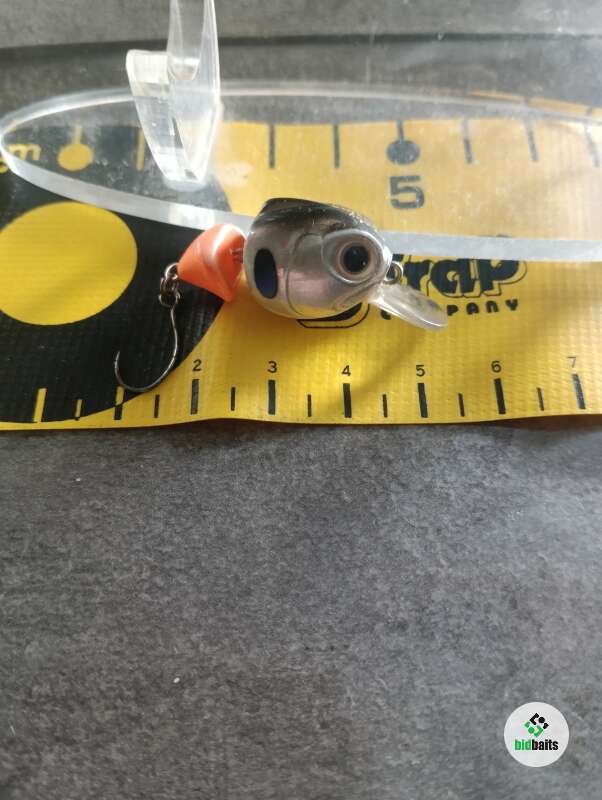 Аукцион WILD WATER BABY CIMA CRANK PETIT-J 26 Начальная ставка 1200 руб.