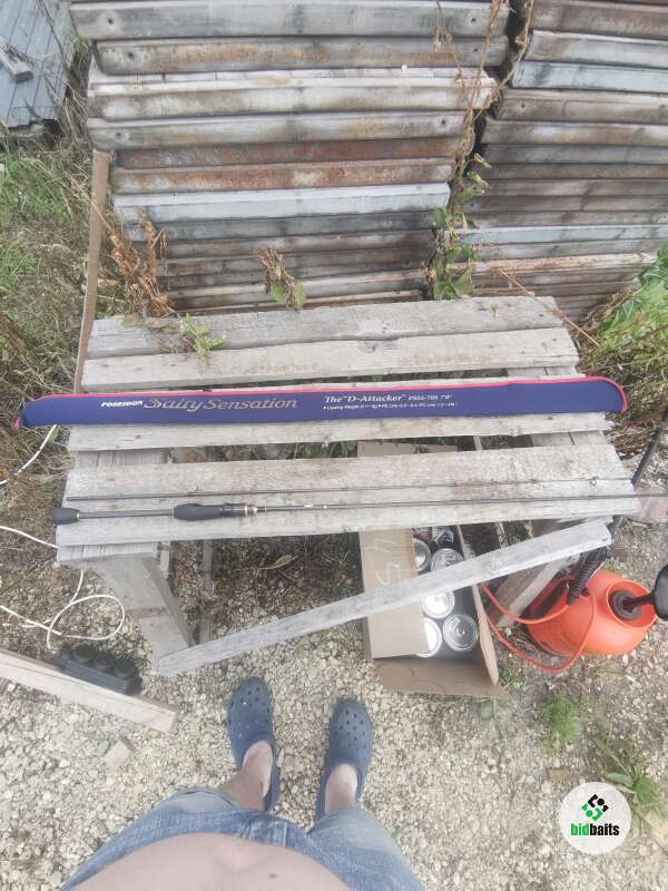 Купить Evergreen Poseidon salty sensation psss-70S "The D-attacker" по цене 35000 руб.