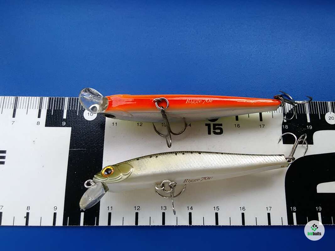 Купить Zip Baits Rigge 70F по цене 820 руб.