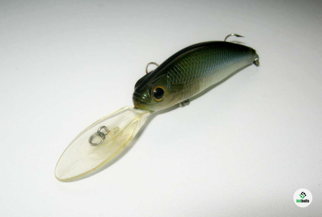 Купить Evergreen C.C. Predator по цене 650 руб.