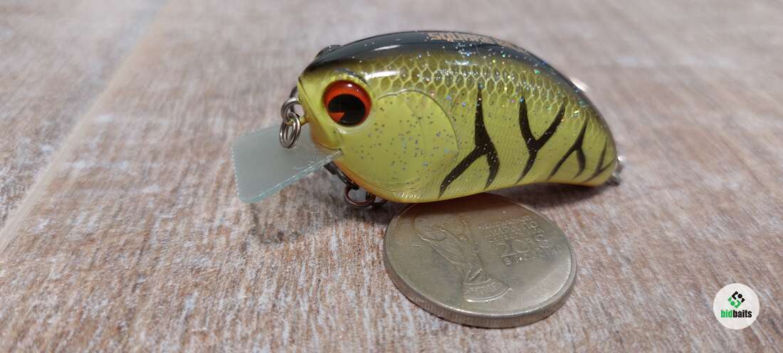 Купить IMA SQUARE BILL по цене 750 руб.