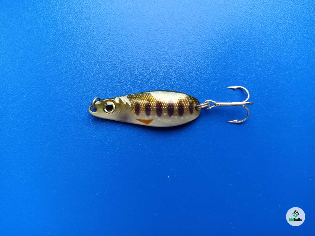 Купить Daiwa Silver Creek Spoon Dual Face (50mm, 9g) по цене 750 руб.