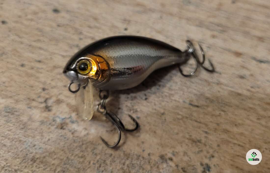 Купить Maria MC Wake 38F по цене 4000 руб.